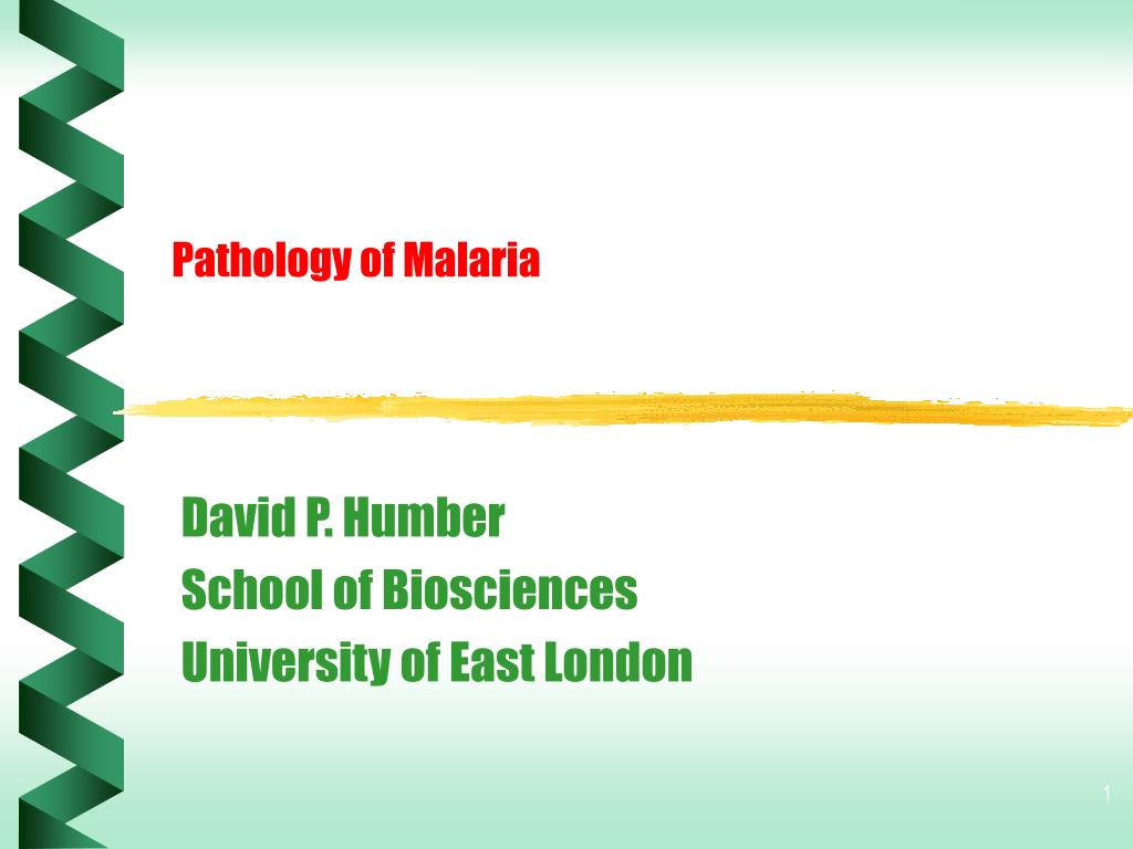 PPT - Pathology of Malaria PowerPoint Presentation, free download - ID ...
