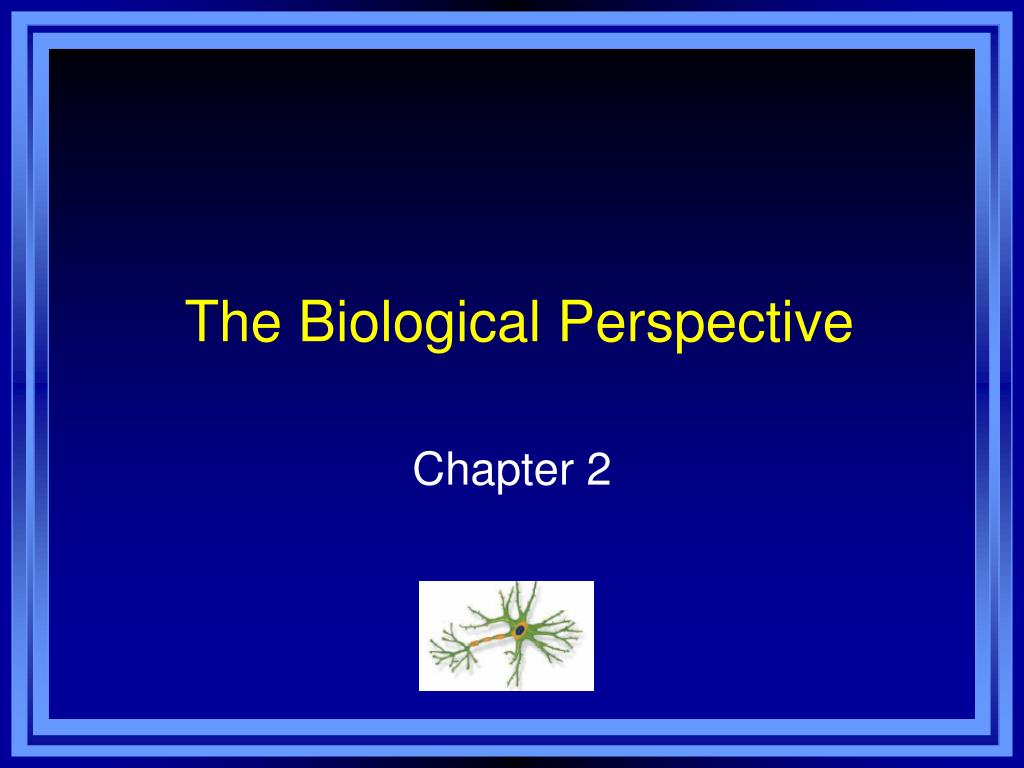 PPT - The Biological Perspective PowerPoint Presentation, free download ...