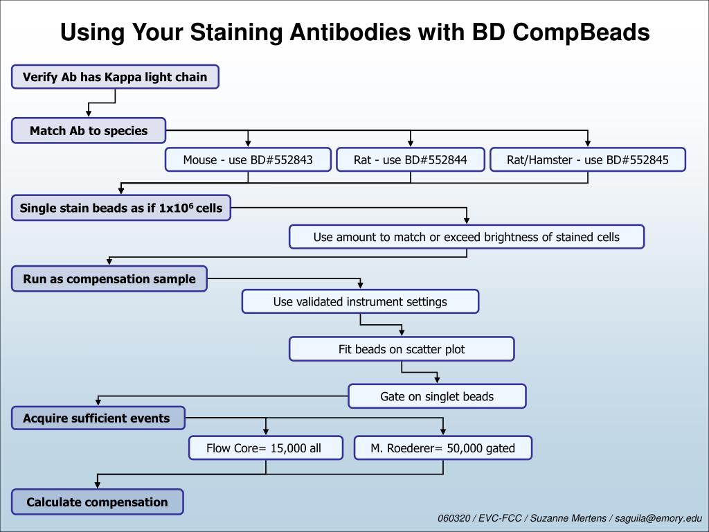 PPT - Using Your Staining Antibodies with BD CompBeads PowerPoint ...