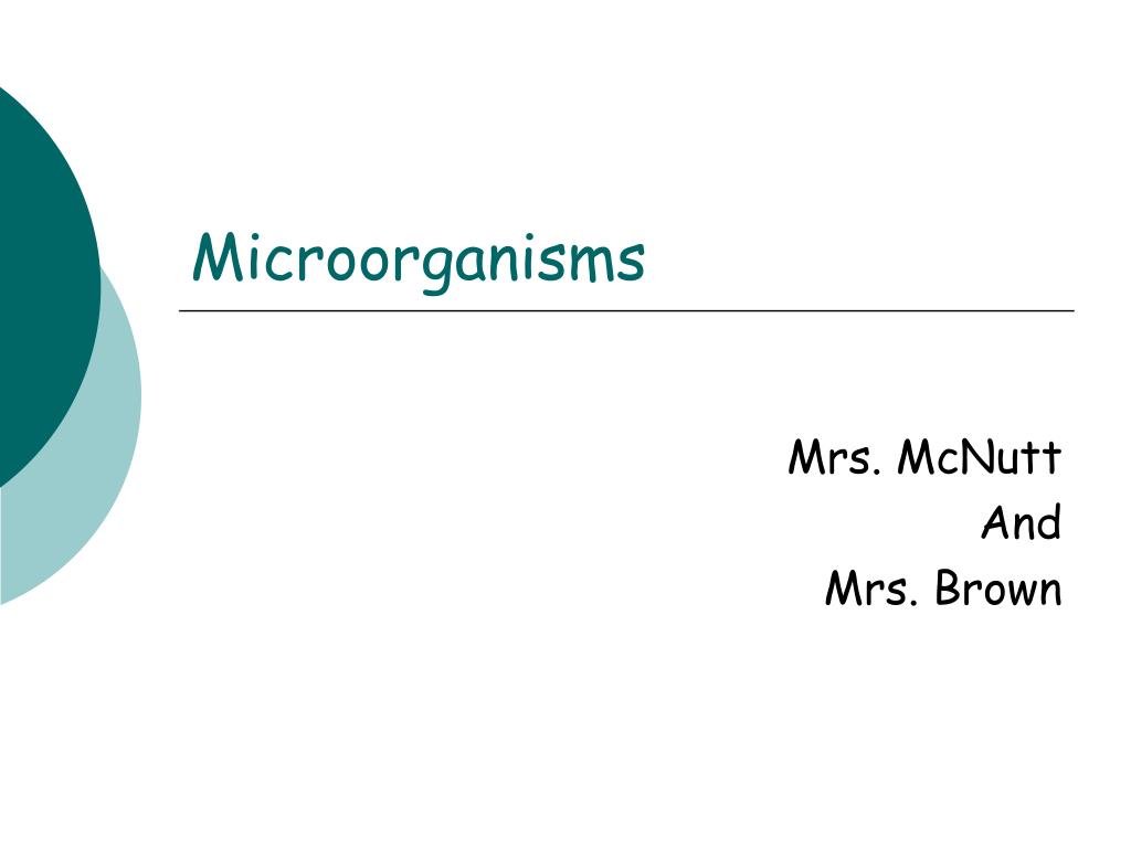 PPT - Microorganisms PowerPoint Presentation, free download - ID:371592