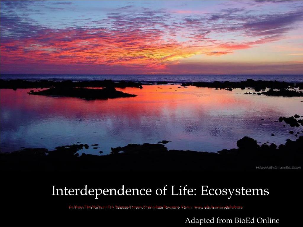 PPT - Interdependence of Life: Ecosystems PowerPoint Presentation, free ...