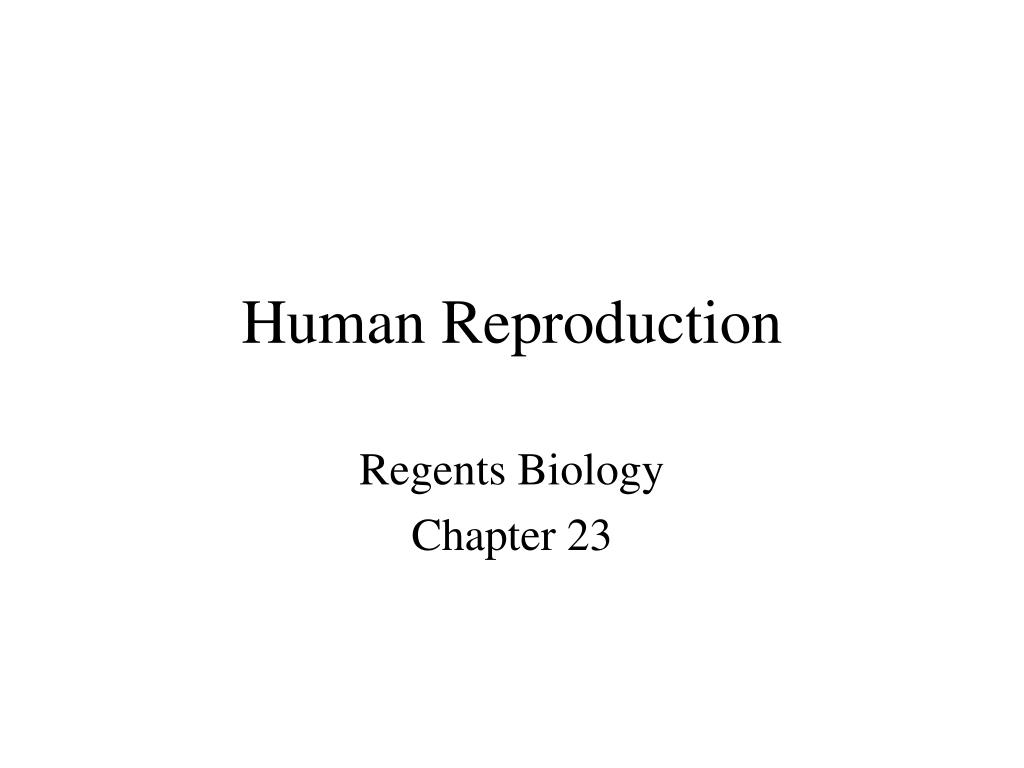 PPT - Human Reproduction PowerPoint Presentation, free download - ID:372176