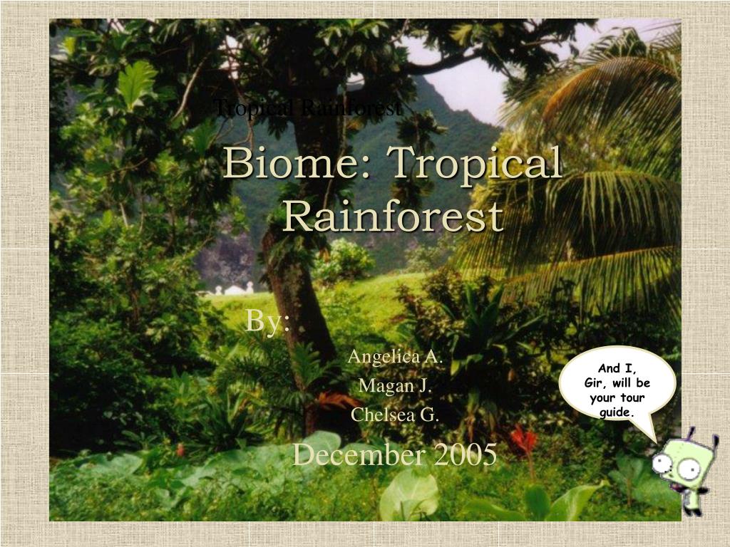 PPT - Biome: Tropical Rainforest PowerPoint Presentation, free download ...