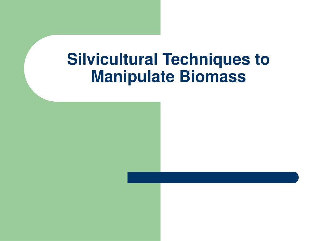 PPT - Silvicultural Techniques to Manipulate Biomass PowerPoint Presentation - ID:37483