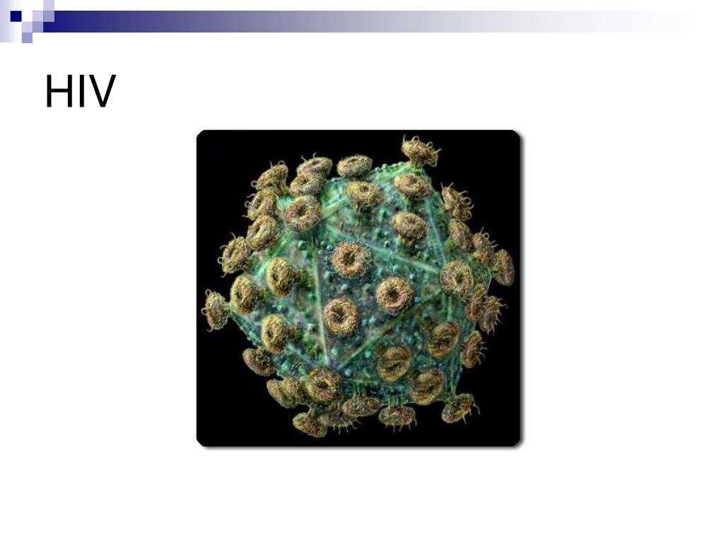 PPT - HIV PowerPoint Presentation, free download - ID:375477