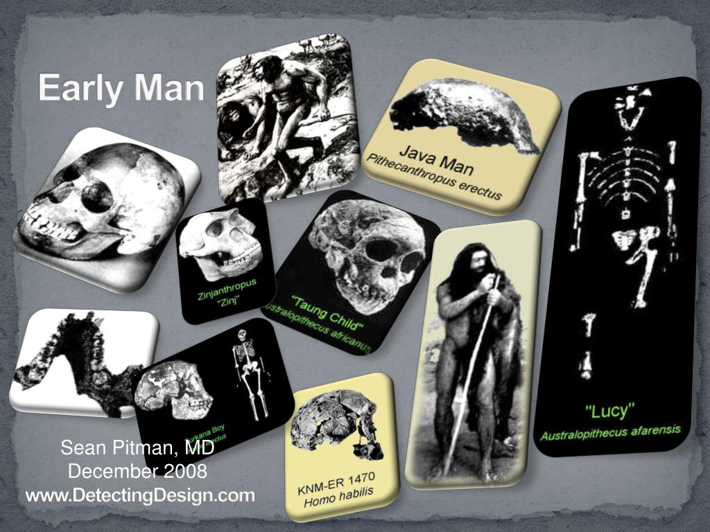 PPT - Early Man PowerPoint Presentation, free download - ID:376509
