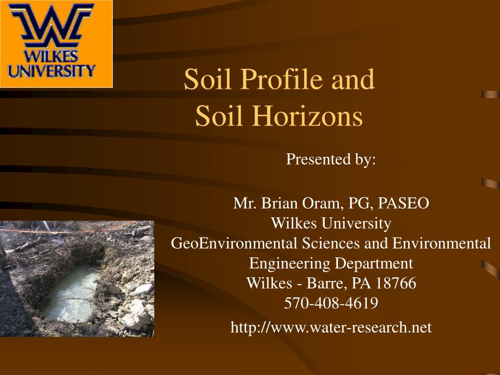 PPT - Soil Profile and Soil Horizons PowerPoint Presentation, free download - ID:377228