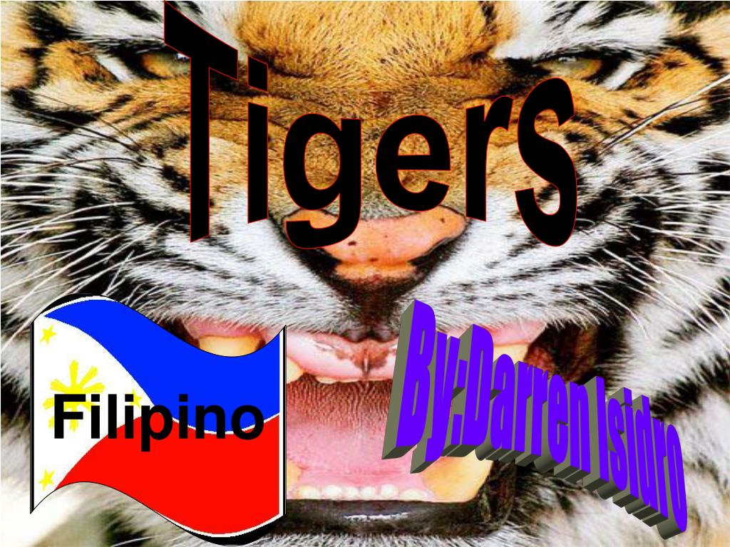 PPT - Tigers PowerPoint Presentation, free download - ID:379345