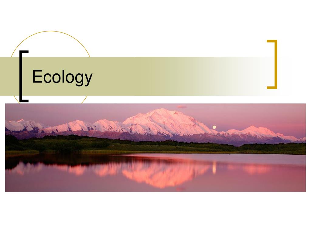 PPT - Ecology PowerPoint Presentation, free download - ID:38197
