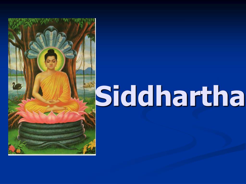 PPT - Siddhartha PowerPoint Presentation, free download - ID:382238