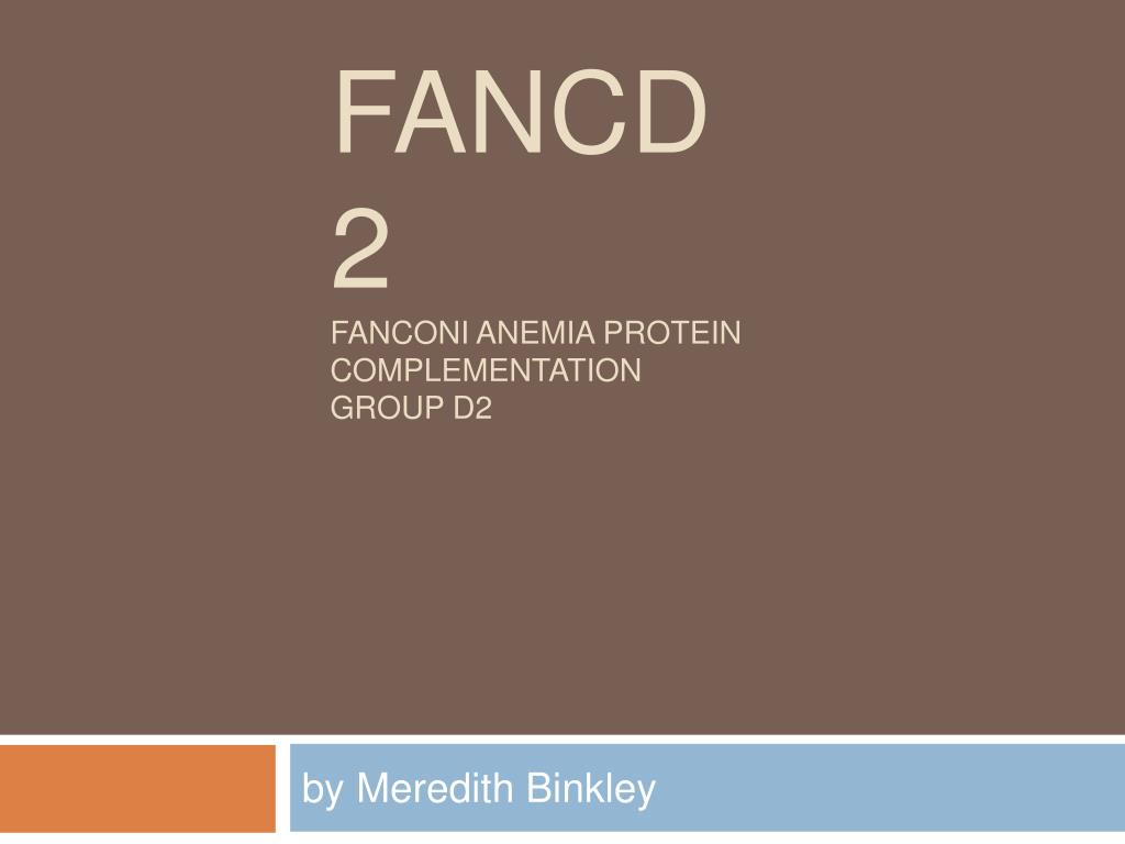 PPT - FANCD2 FANCONI ANEMIA PROTEIN COMPLEMENTATION GROUP D2 PowerPoint ...