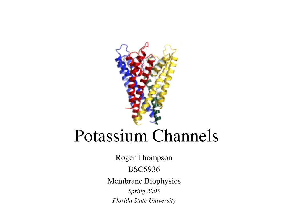 PPT - Potassium Channels PowerPoint Presentation, free download - ID:38419