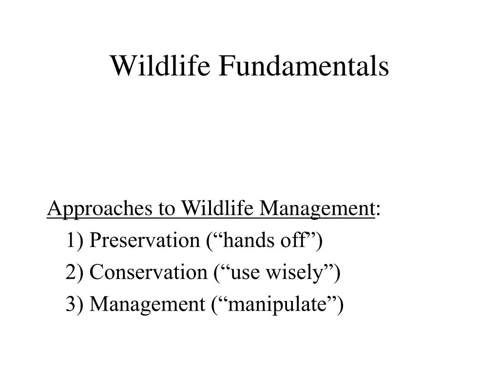 PPT - Wildlife Fundamentals PowerPoint Presentation, free download - ID ...