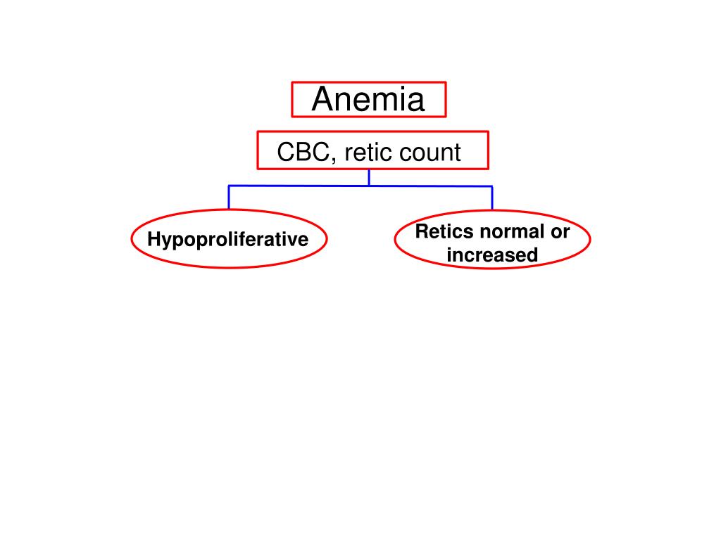 PPT - Anemia PowerPoint Presentation, free download - ID:388867