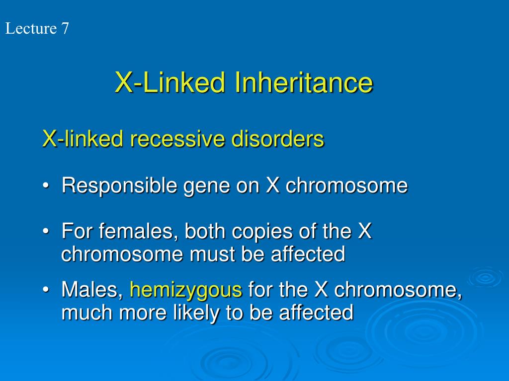 PPT - X-Linked Inheritance PowerPoint Presentation, free download - ID ...