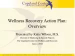 PPT - Wellness Recovery Action Planning (WRAP): An Overview PowerPoint ...