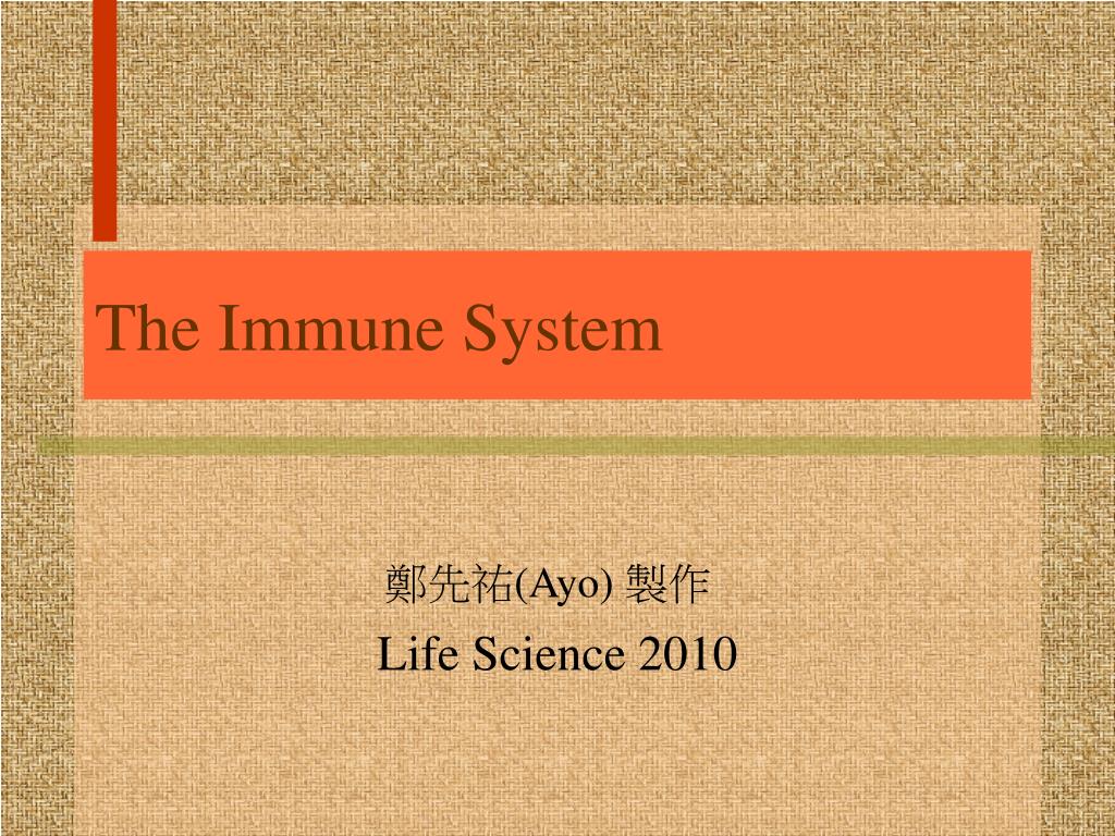 PPT - The Immune System PowerPoint Presentation, free download - ID:393742