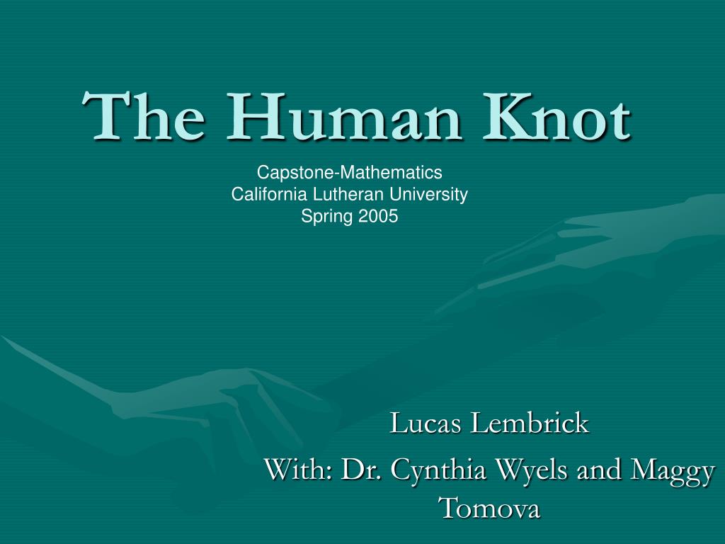 PPT - The Human Knot PowerPoint Presentation, free download - ID:394491