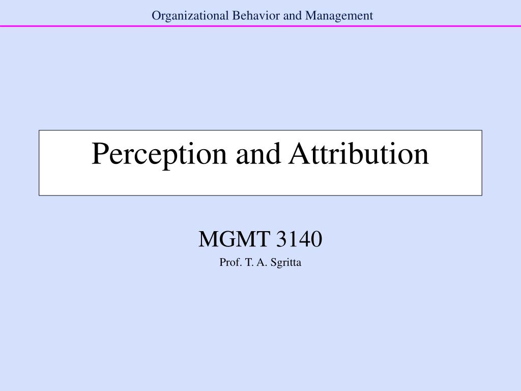 PPT - Perception and Attribution PowerPoint Presentation, free download ...