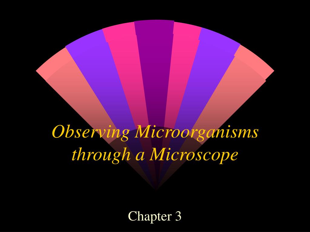 PPT - Observing Microorganisms through a Microscope PowerPoint Presentation - ID:396169