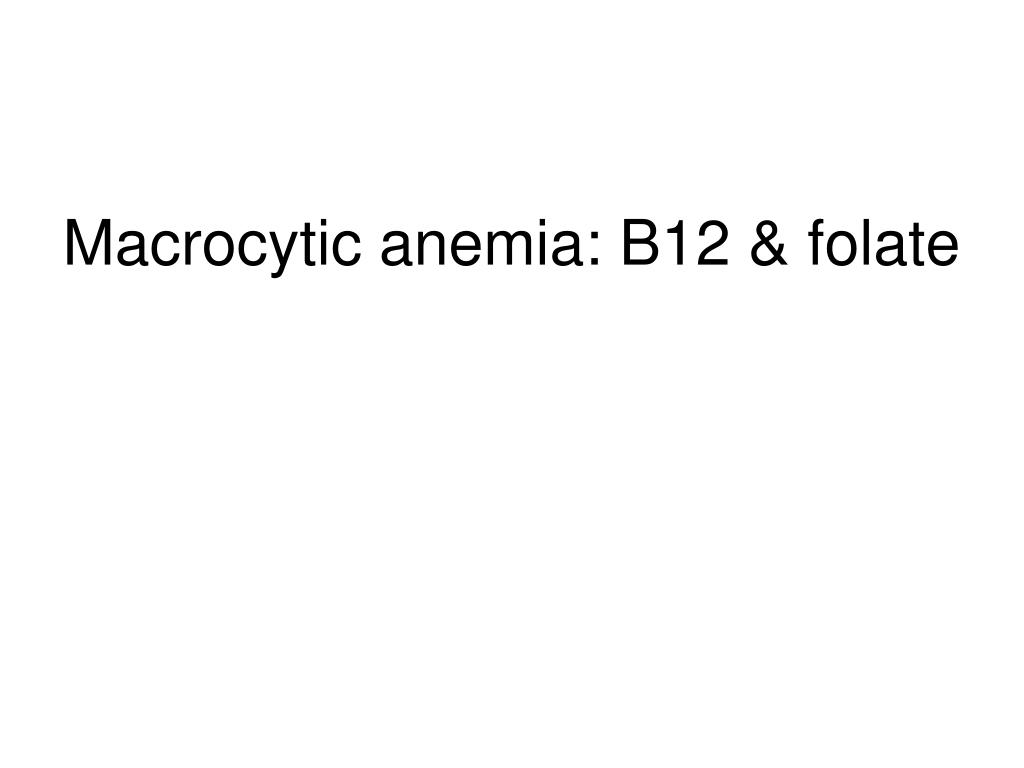 PPT - Macrocytic anemia: B12 & folate PowerPoint Presentation, free ...