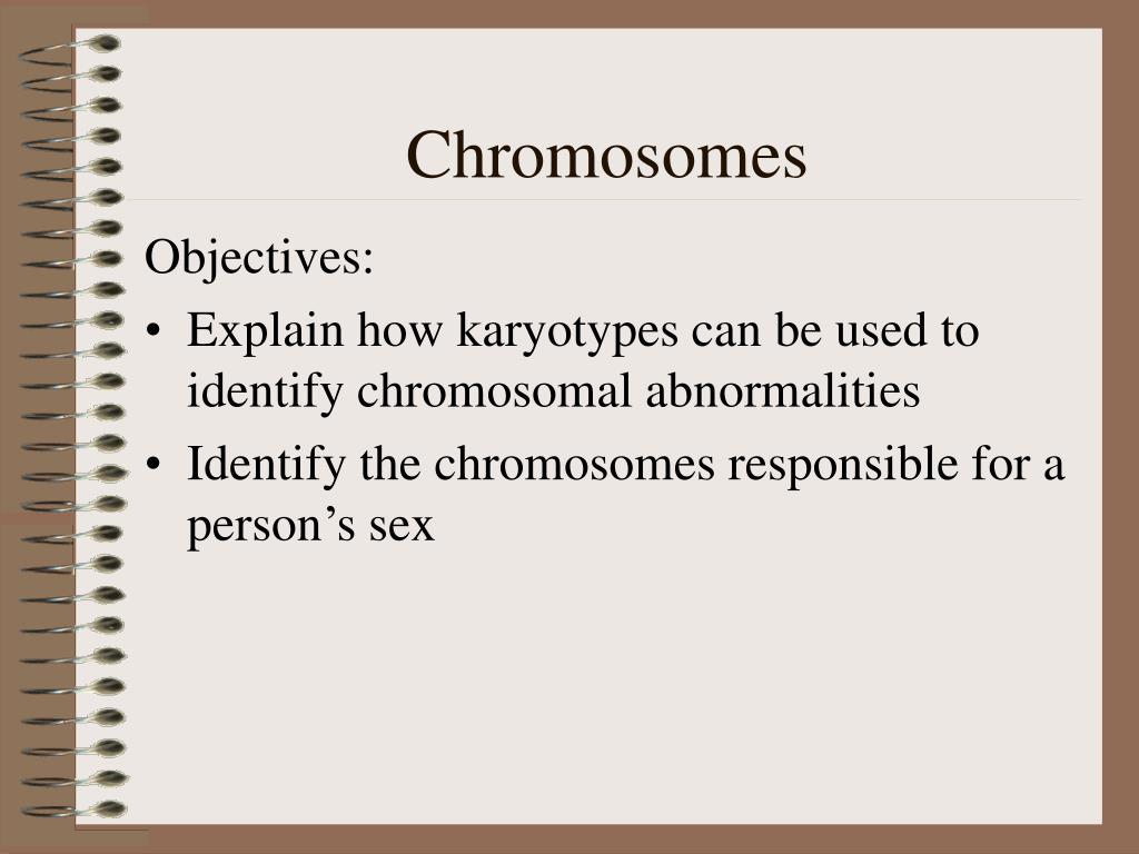 PPT - Chromosomes PowerPoint Presentation, free download - ID:39746
