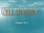 PPT - การแบ่งเซลล์ ( Cell division. ) PowerPoint Presentation - ID:6991304