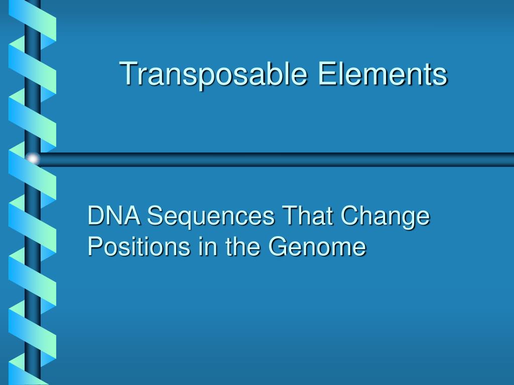 PPT - Transposable Elements PowerPoint Presentation, free download - ID ...