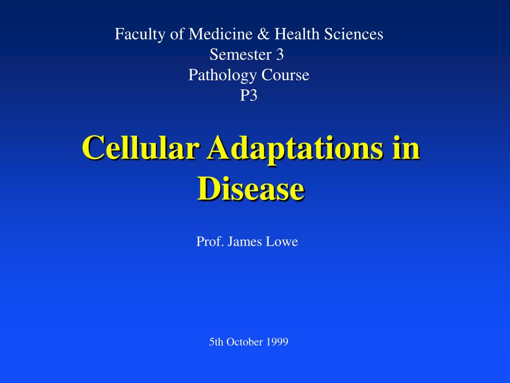 PPT - Cellular Adaptations in Disease PowerPoint Presentation, free ...