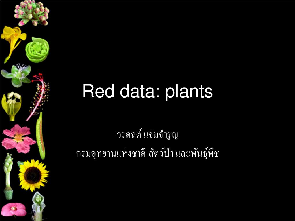PPT - Red data: plants PowerPoint Presentation, free download - ID:401722