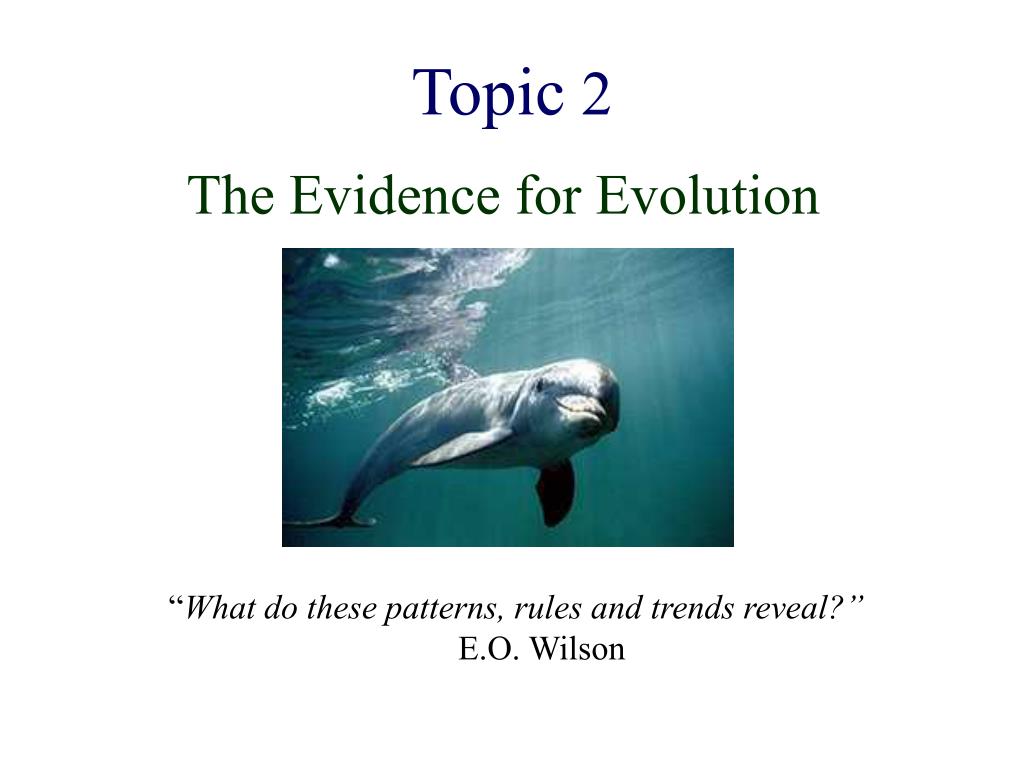 PPT - Topic 2 PowerPoint Presentation, free download - ID:402918