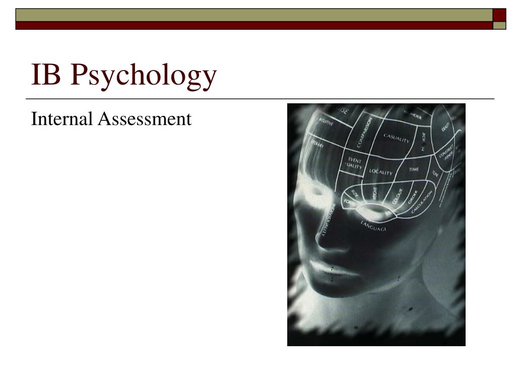 PPT - IB Psychology PowerPoint Presentation, free download - ID:405754