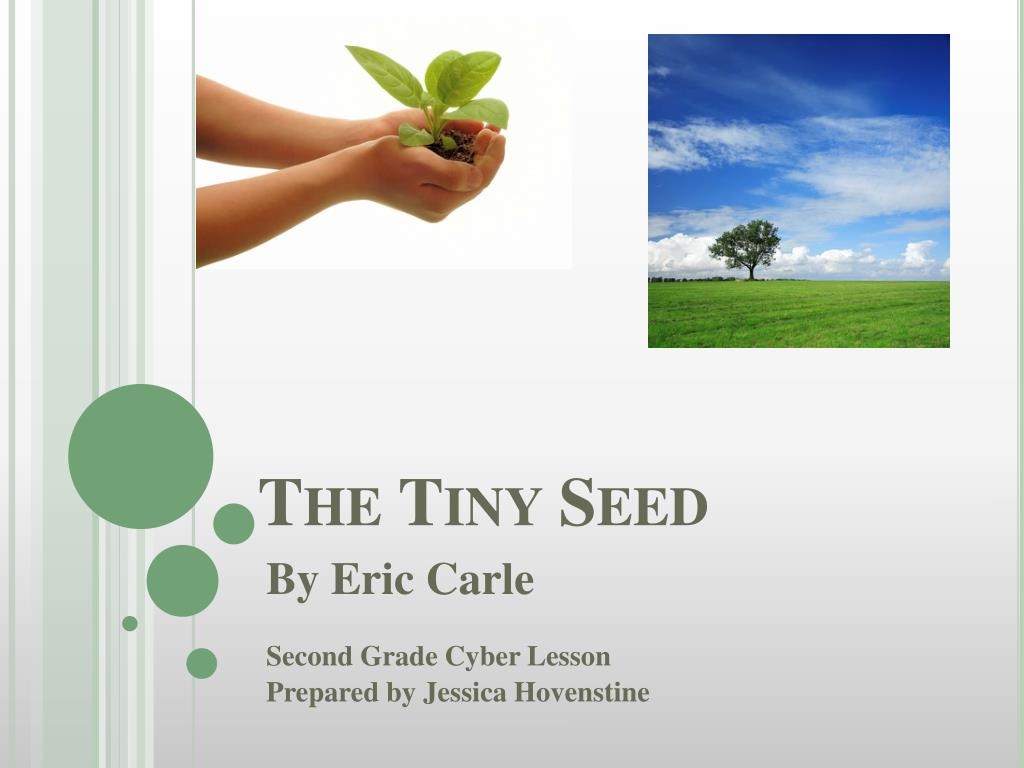 PPT - The Tiny Seed PowerPoint Presentation, free download - ID:406780