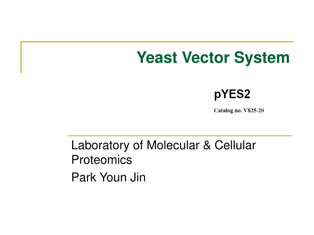 PPT - Yeast Vector System PowerPoint Presentation, free download - ID ...