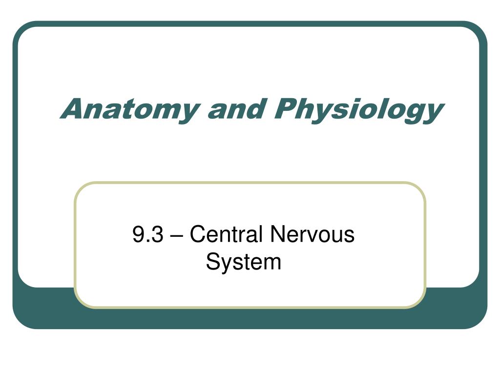 PPT - Anatomy and Physiology PowerPoint Presentation, free download ...