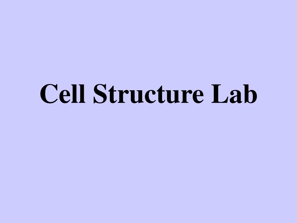PPT - Cell Structure Lab PowerPoint Presentation, free download - ID:415926
