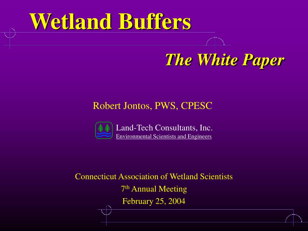 PPT - The White Paper PowerPoint Presentation, free download - ID:417217