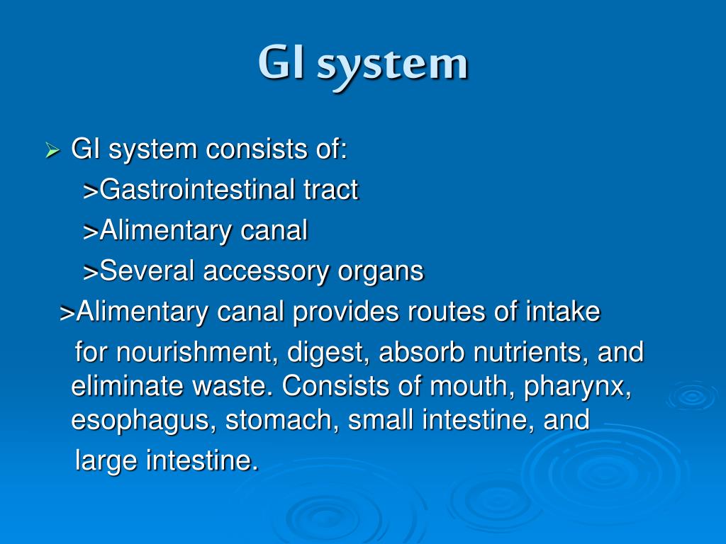 PPT - GI system PowerPoint Presentation, free download - ID:417744