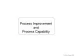 PPT - Process Management and Process Oriented Improvement Programs ...