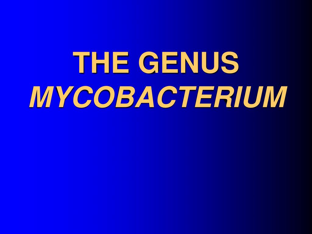 PPT - THE GENUS MYCOBACTERIUM PowerPoint Presentation, free download ...