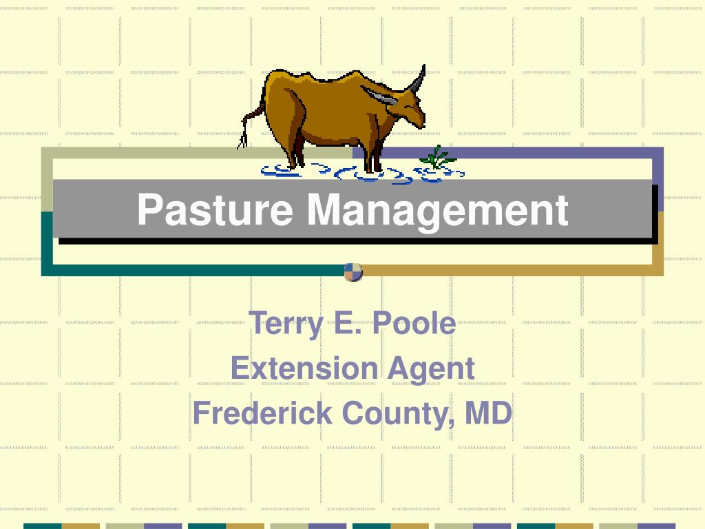 PPT - Pasture Management PowerPoint Presentation, free download - ID:421369