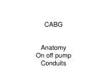 PPT - Arterial Conduits in CABG PowerPoint Presentation, free download ...