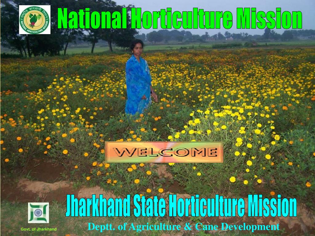 PPT - National Horticulture Mission PowerPoint Presentation, free ...