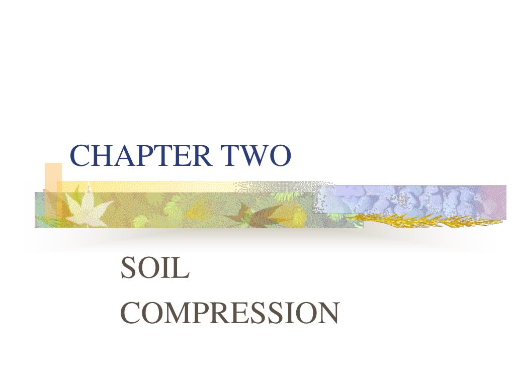 PPT - CHAPTER TWO PowerPoint Presentation, free download - ID:422924