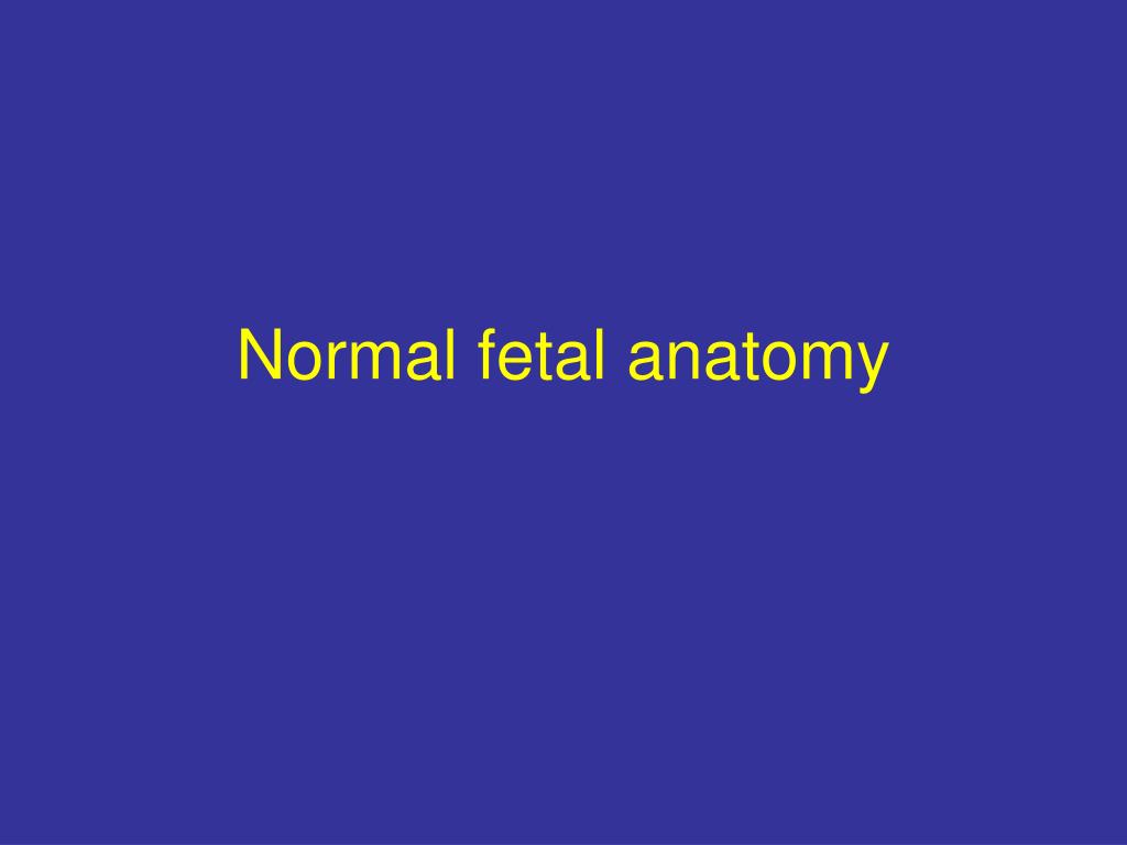 PPT - Normal fetal anatomy PowerPoint Presentation, free download - ID ...