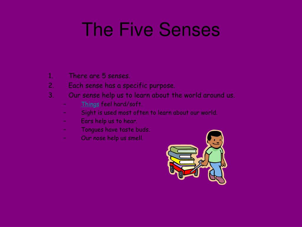 PPT - The Five Senses PowerPoint Presentation, free download - ID:423173