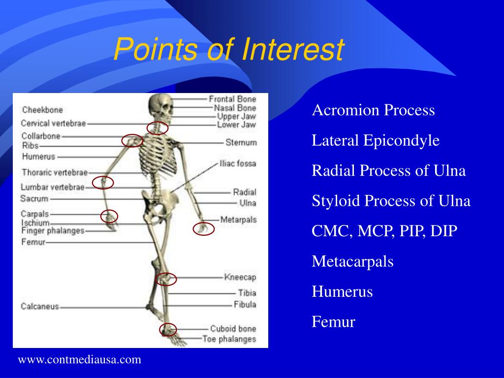 PPT - Points of Interest PowerPoint Presentation, free download - ID:423187