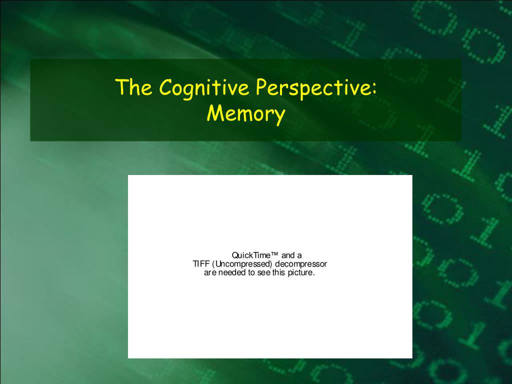 PPT - The Cognitive Perspective: Memory PowerPoint Presentation, free ...