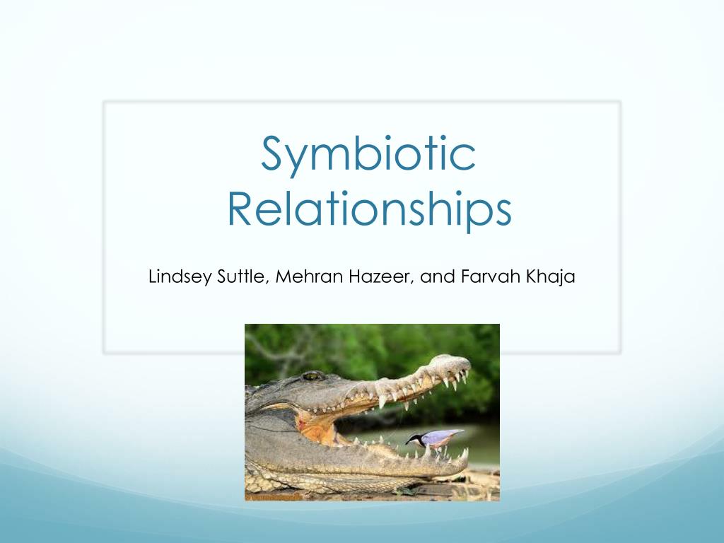PPT - Symbiotic Relationships PowerPoint Presentation, free download ...