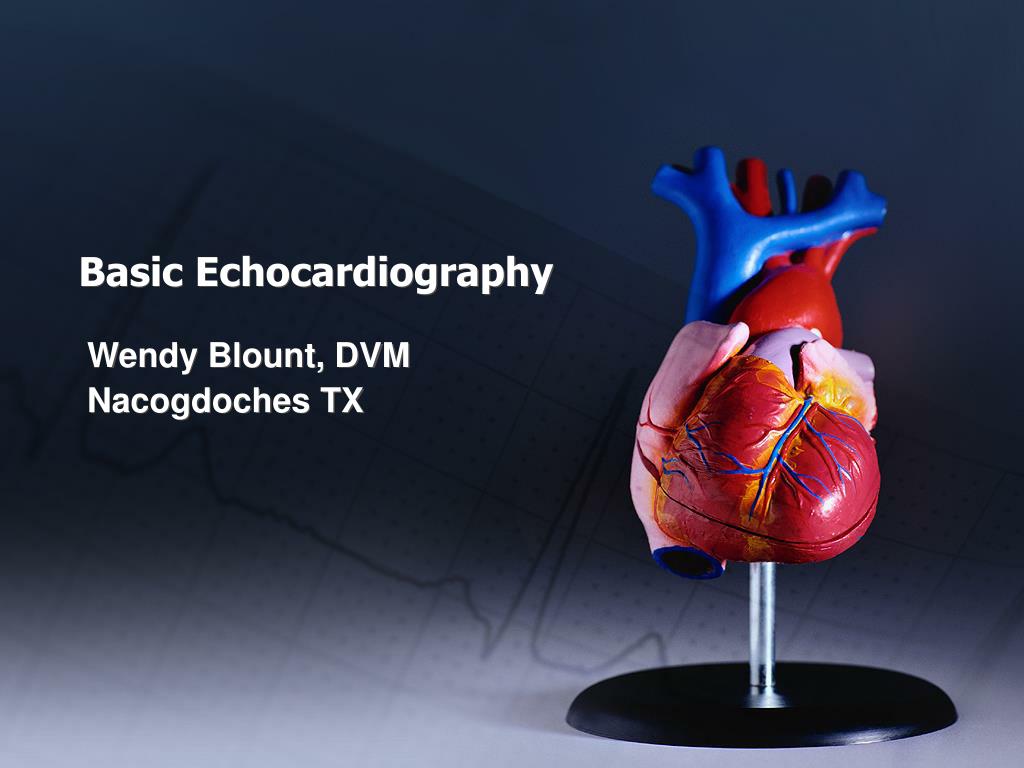 PPT - Basic Echocardiography PowerPoint Presentation, free download ...